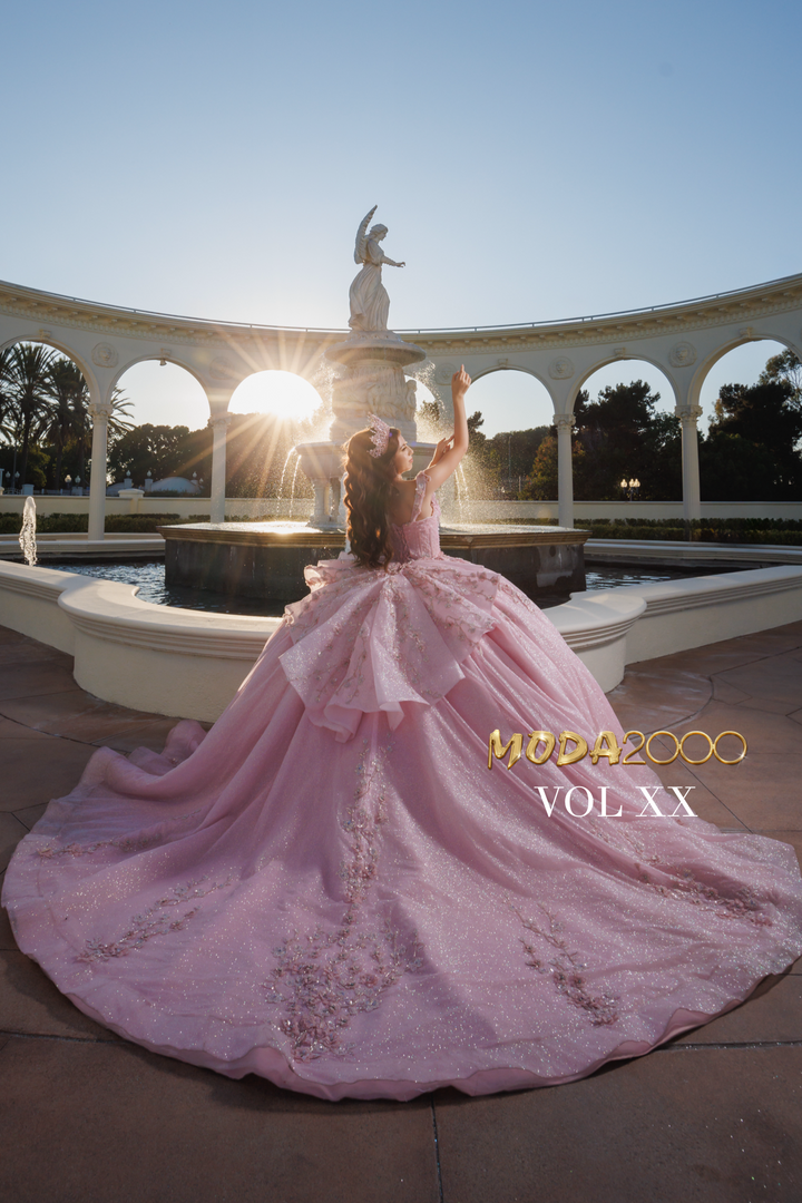 VOL XX - Ballet Pink | THE PALACE COLL. – Moda 2000 LLC